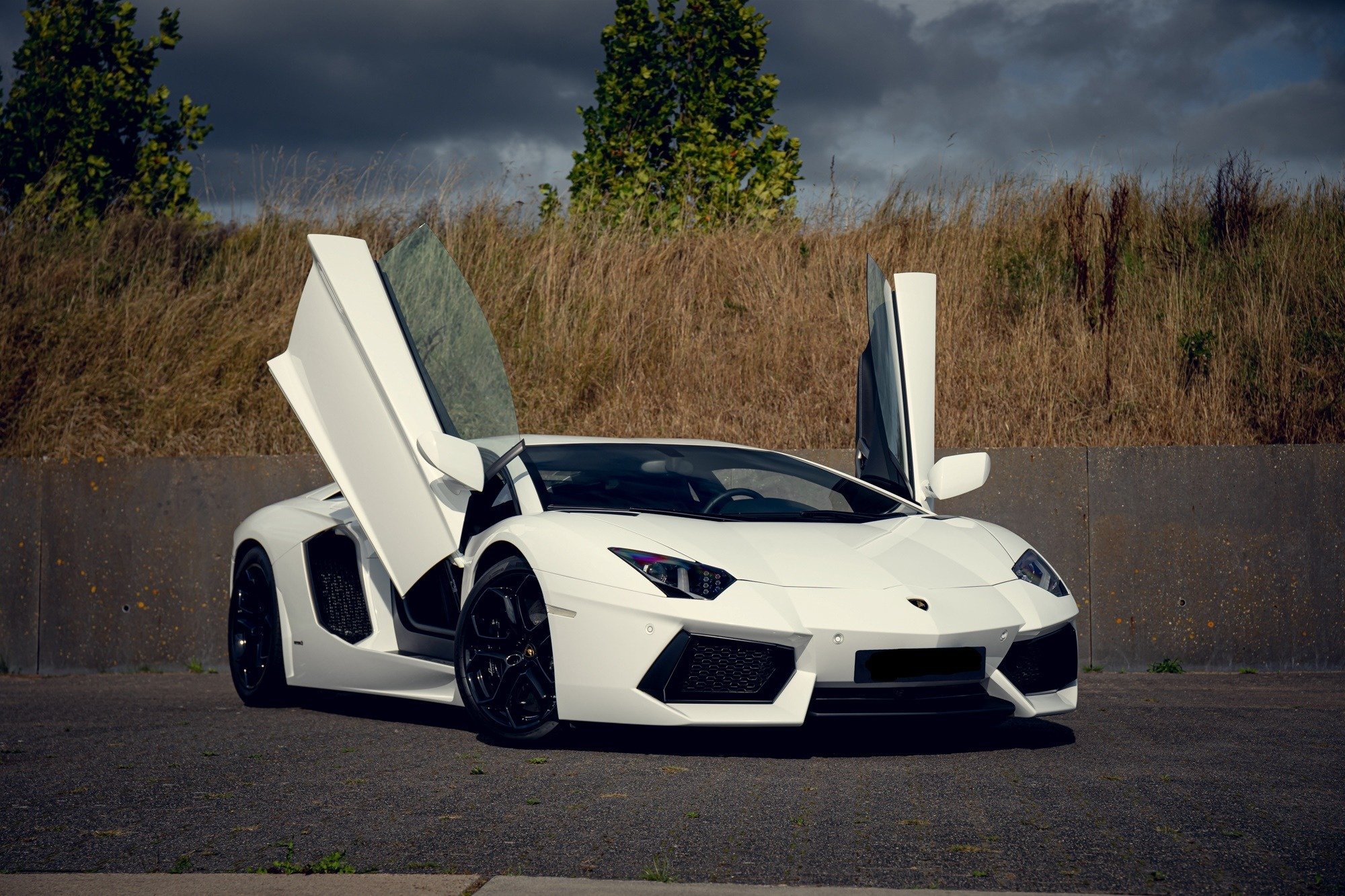 Lamborghini information resource and Car chassis database